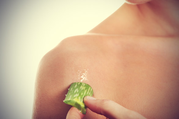 4 Herbal Remedies To Relieve Itchy Skin – Growing Up Herbal 4 Herbal Remedies To Relieve Itchy Skin – Growing Up Herbal