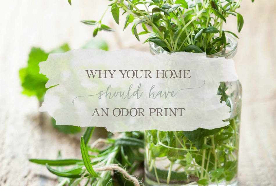 Why Your Home Should Have An Odor Print | Growing Up Herbal