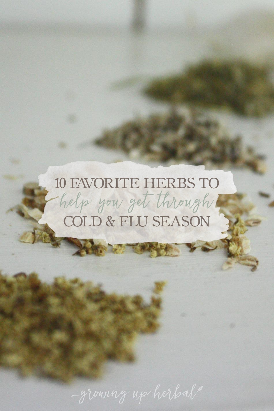 10 Favorite Herbs To Help You Get Through Cold and Flu Season - Growing ...