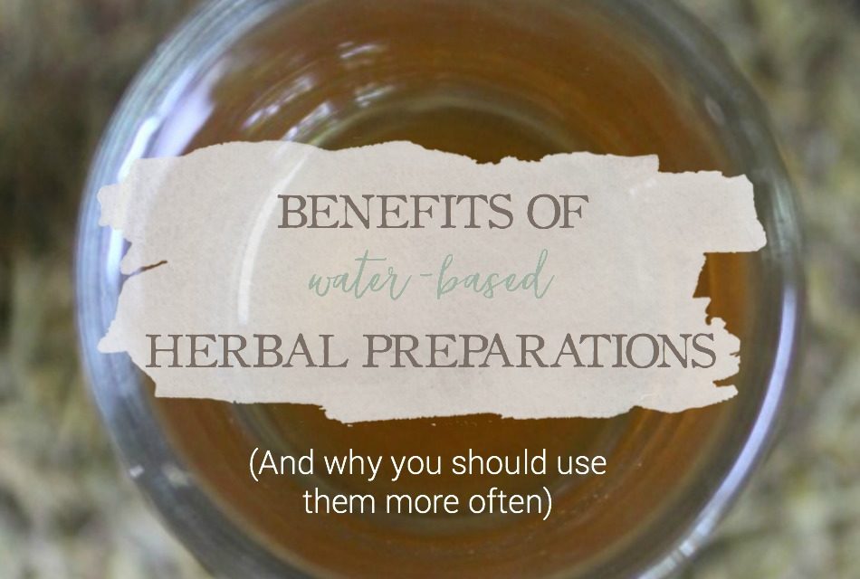 Benefits of Water-Based Herbal Preparations | Growing Up Herbal