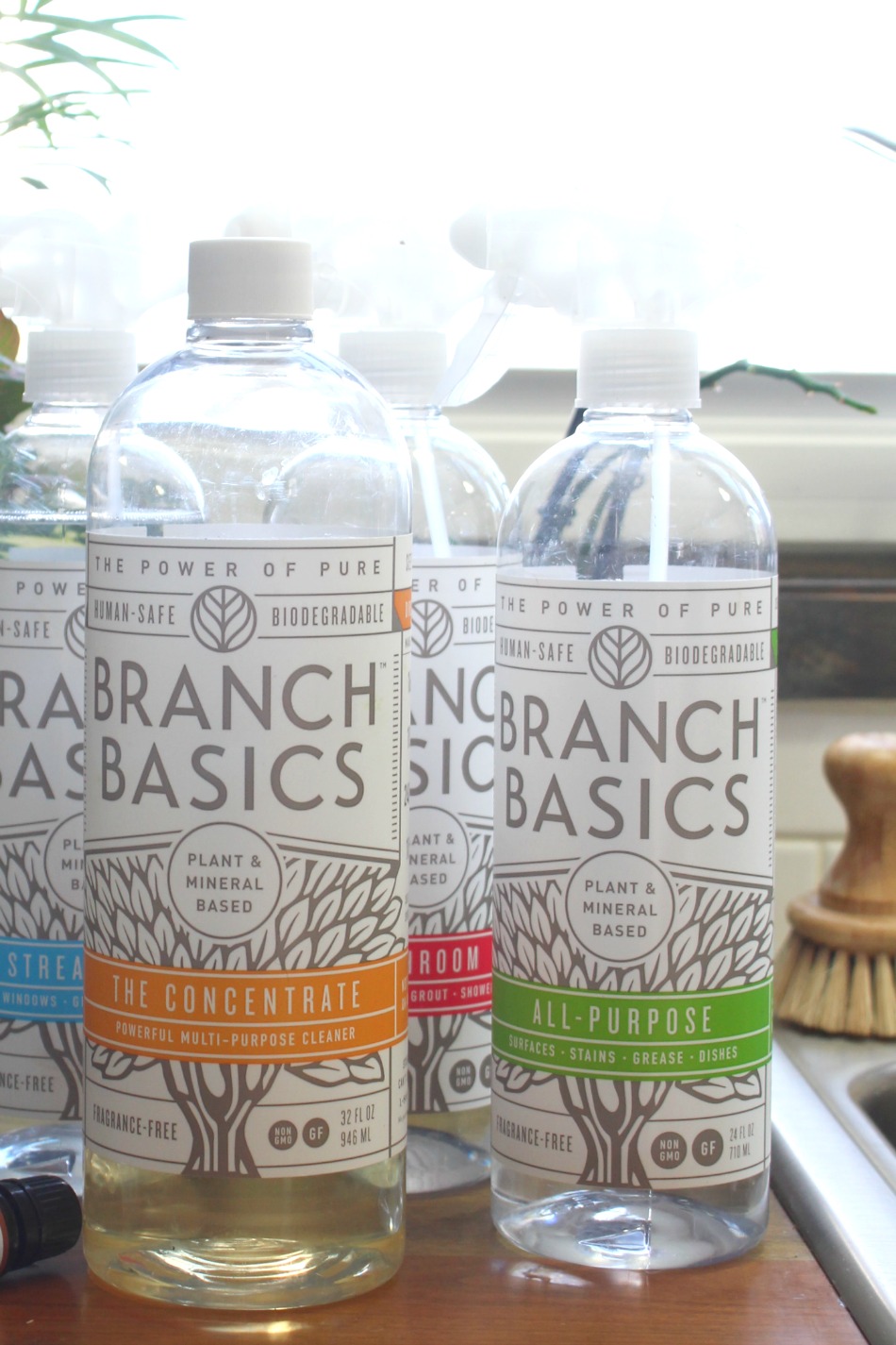 Why I'm Making The Switch To Branch Basics Natural Cleaners