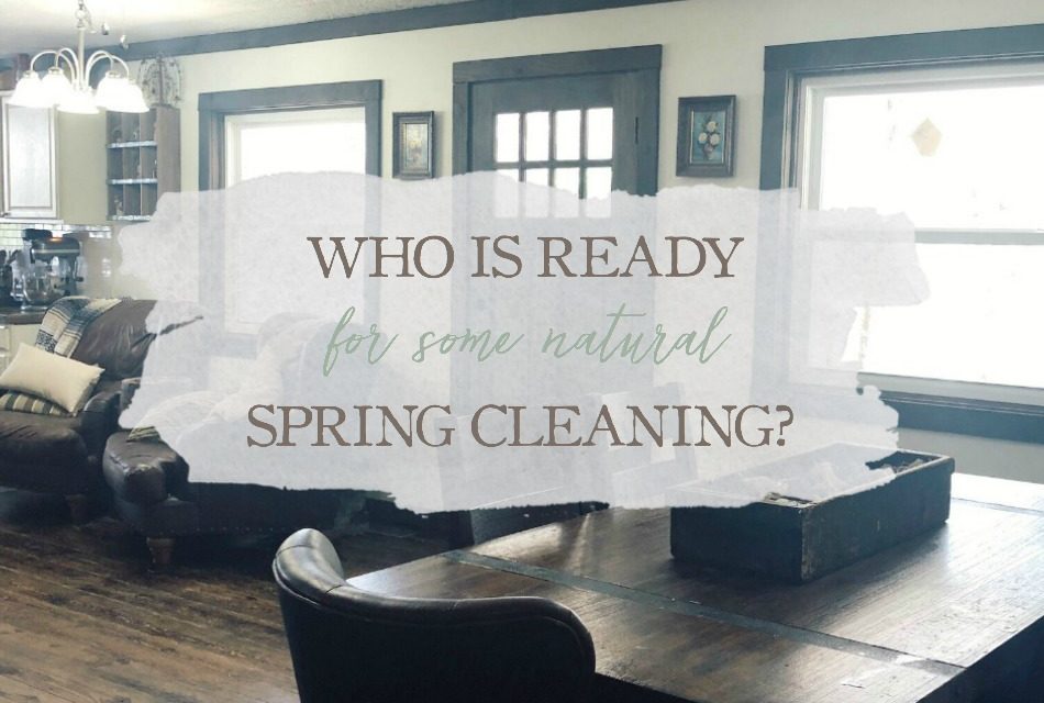 Who’s Ready For Some Natural Spring Cleaning? | Growing Up Herbal
